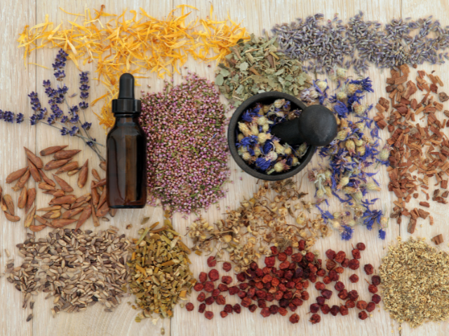 Taking Control of Your Health Through Alternative Medicine – Dragon's ...